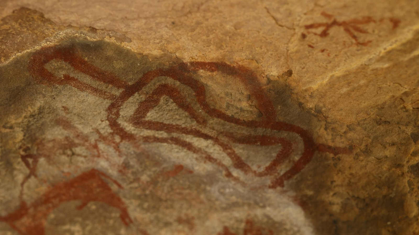 Discover Chaturbhuj Nala with Gandhisagar Forest Retreat